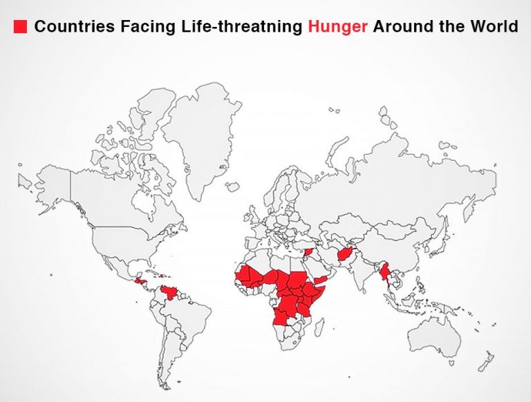 Global Hunger Facts! How is PayBito Helping? - Media - HashCash Consultants